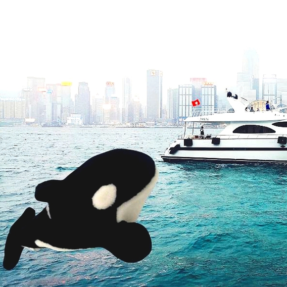Seaworld | Toys | Seaworld Orca Plush Shamu Killer Whale 5 Stuffed ...